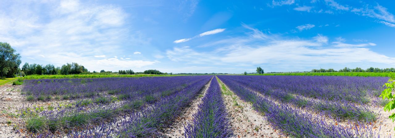 Un Mas en Provence – Les Baux-de-Provence